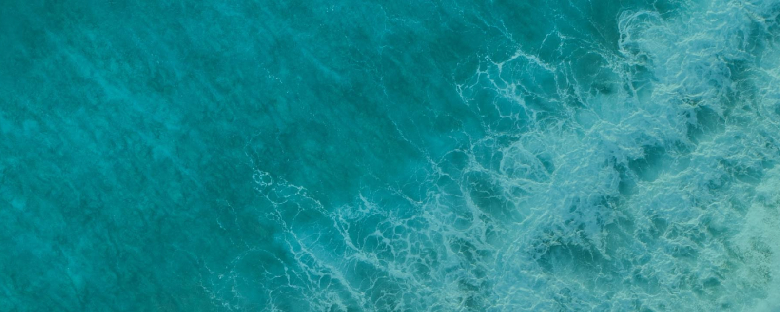 Portfolio - Bruno Caruso